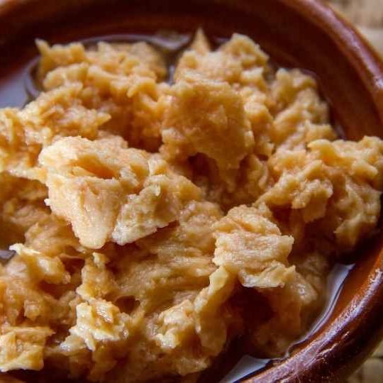 Mexican Chongos Zamoranos Recipe – FoodWiki