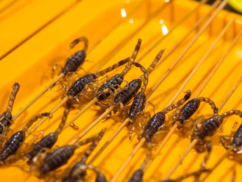 Chinese Deep-Fried Scorpion Recipe – FoodWiki