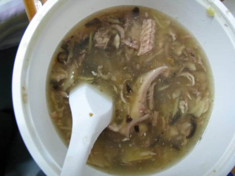 Snake Soup Recipe: A Guide To The Chinese Delicacy – FoodWiki